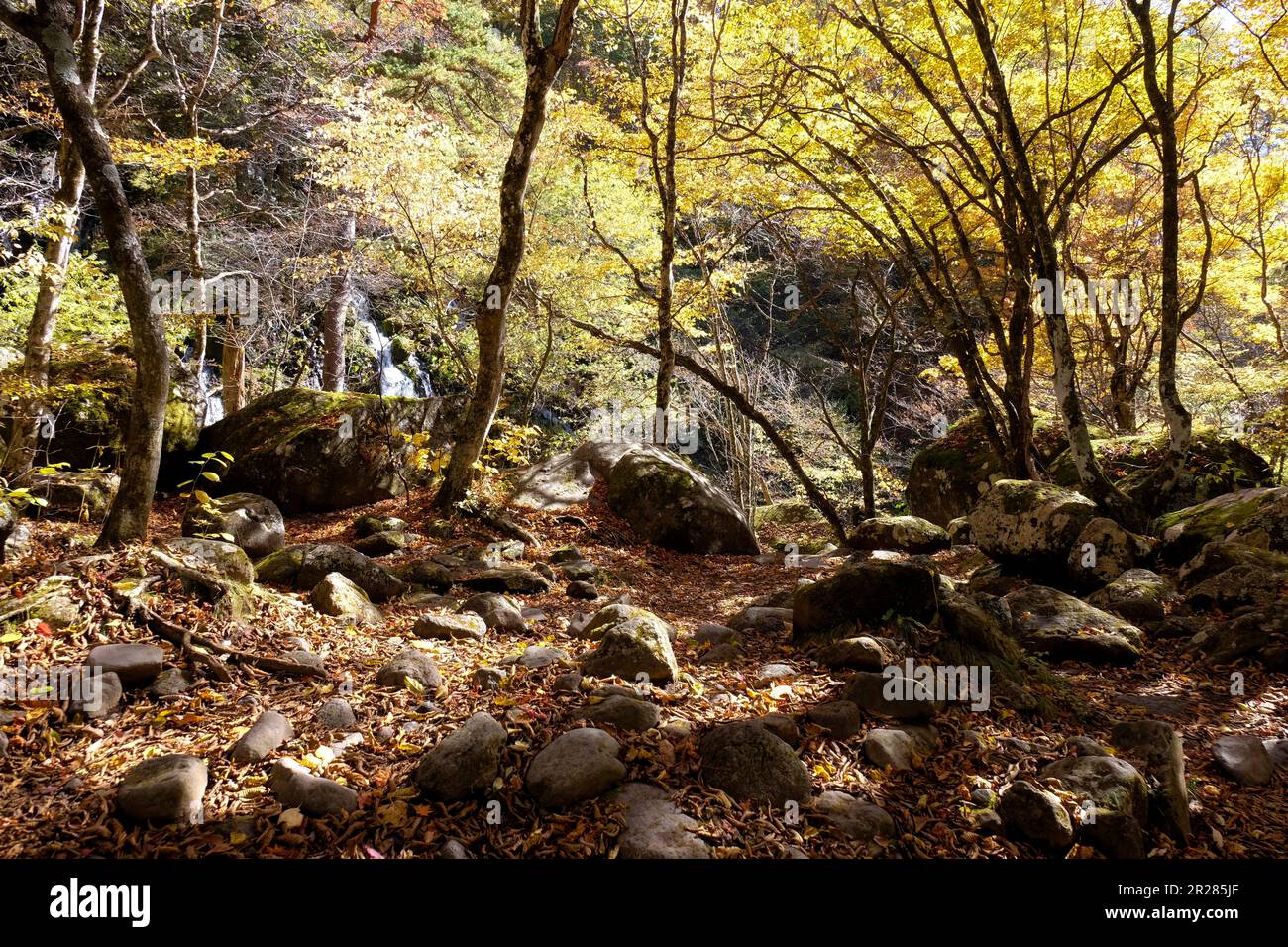 Doryu waterfall and the mountain trail Stock Photo - Alamy