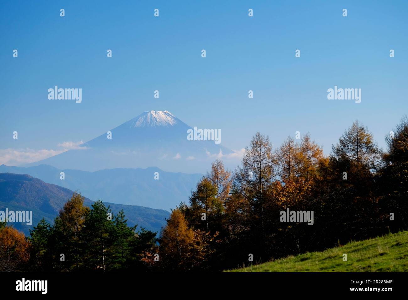 Makiba hi-res stock photography and images - Alamy