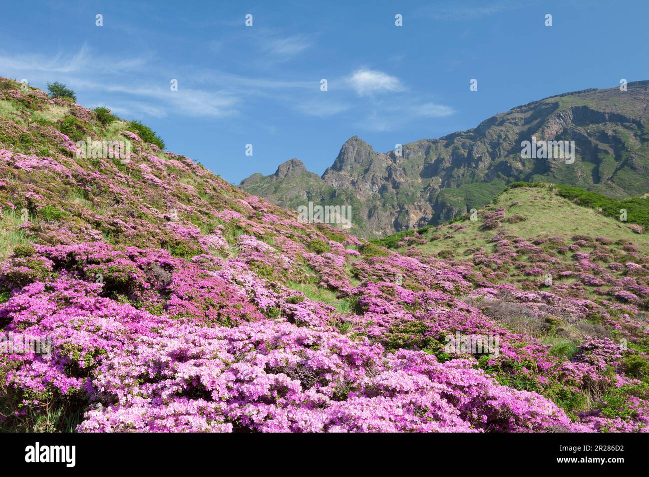 Sensui hi-res stock photography and images - Alamy