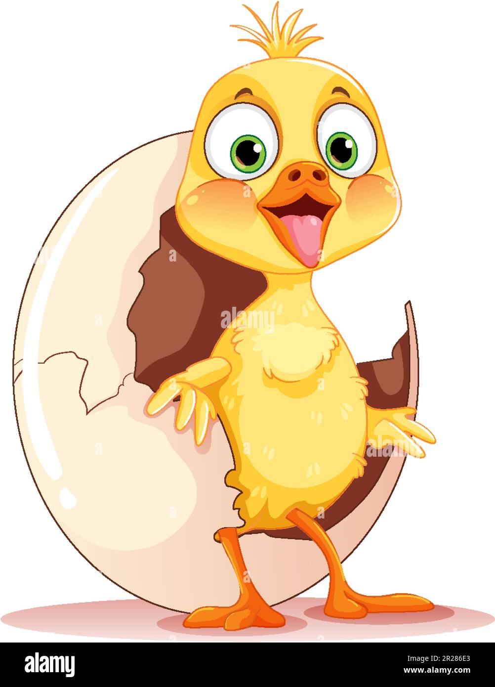 Baby chicken hatching isolated illustration Stock Vector Image & Art ...