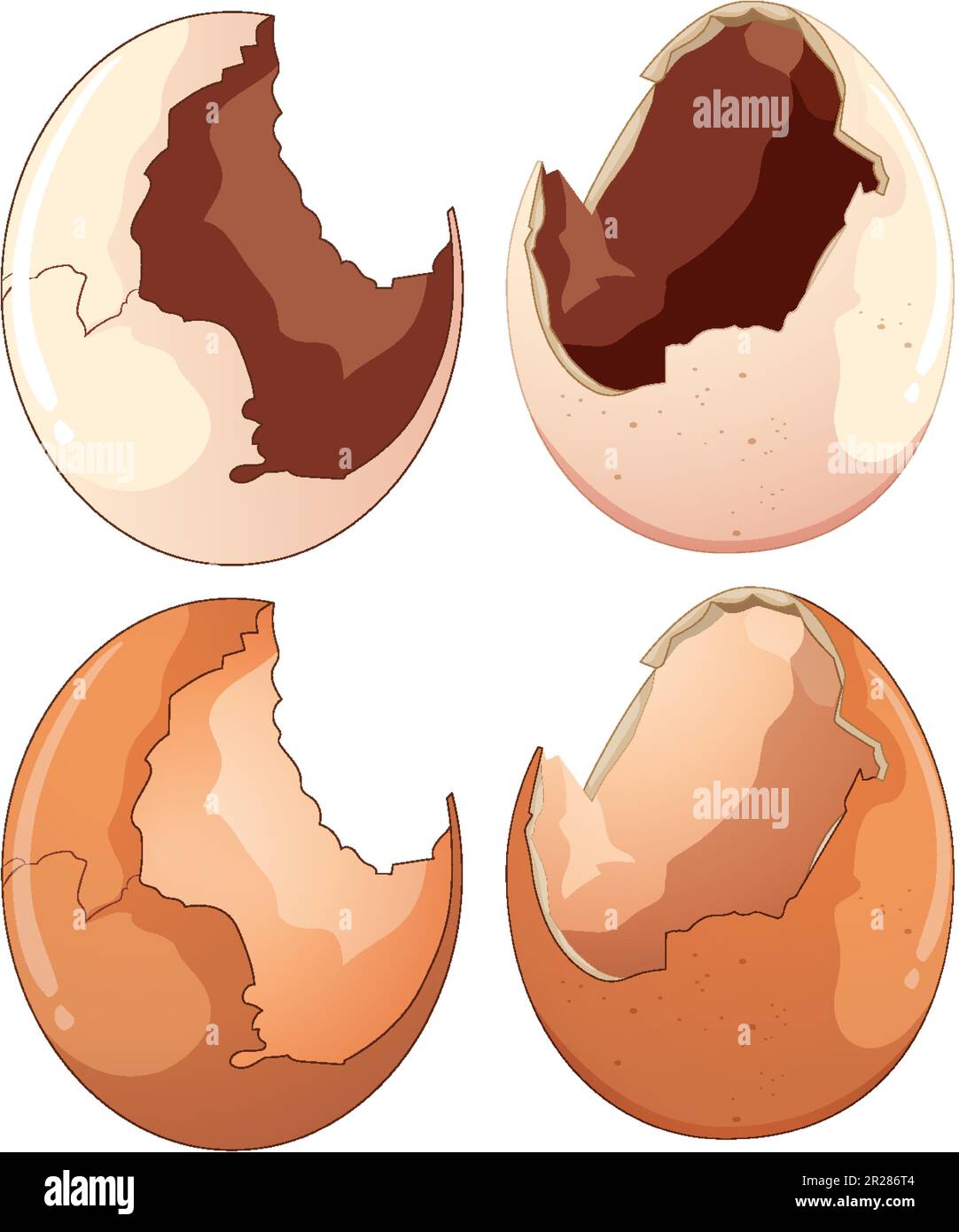 Collection of Cracked Eggs in Different Shapes illustration Stock ...