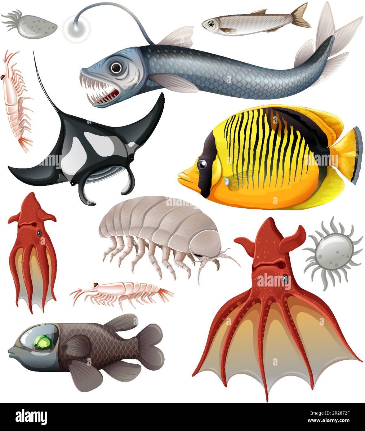 Sea Animals Vector Collection illustration Stock Vector Image & Art - Alamy