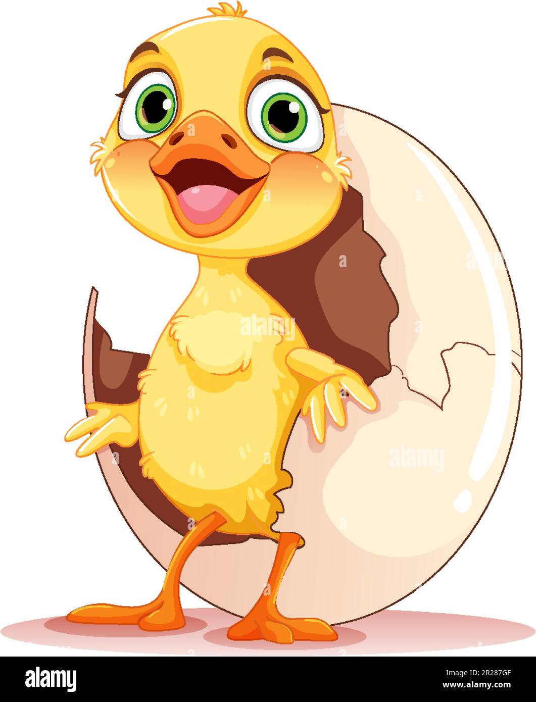 Duckling hatching Stock Vector Images - Alamy