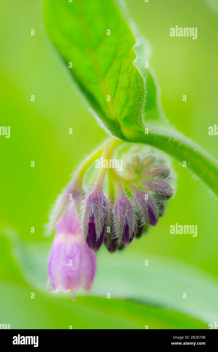 1wheel hi-res stock photography and images - Alamy