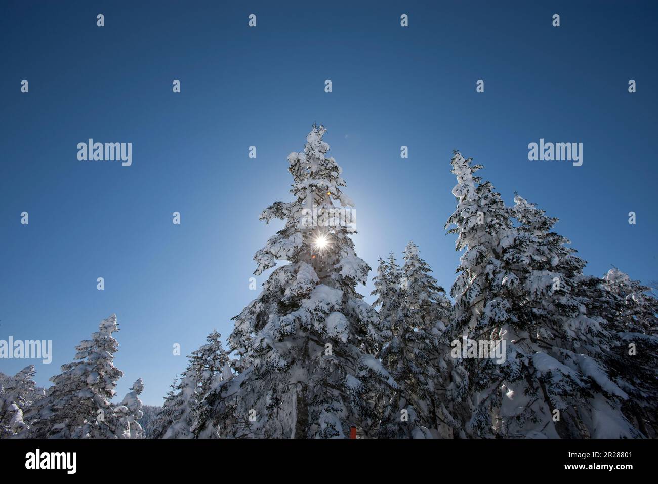 Sengoku garden, Shin-Hotaka ropeway in winter Stock Photo - Alamy