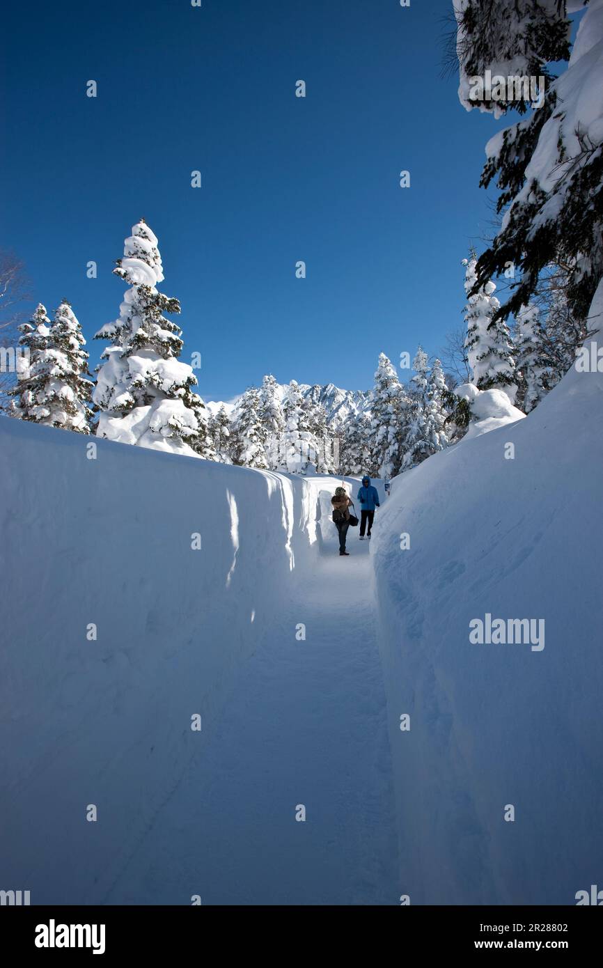 Snow corridor, Sengoku garden, Shin-Hotaka ropeway in winter Stock ...