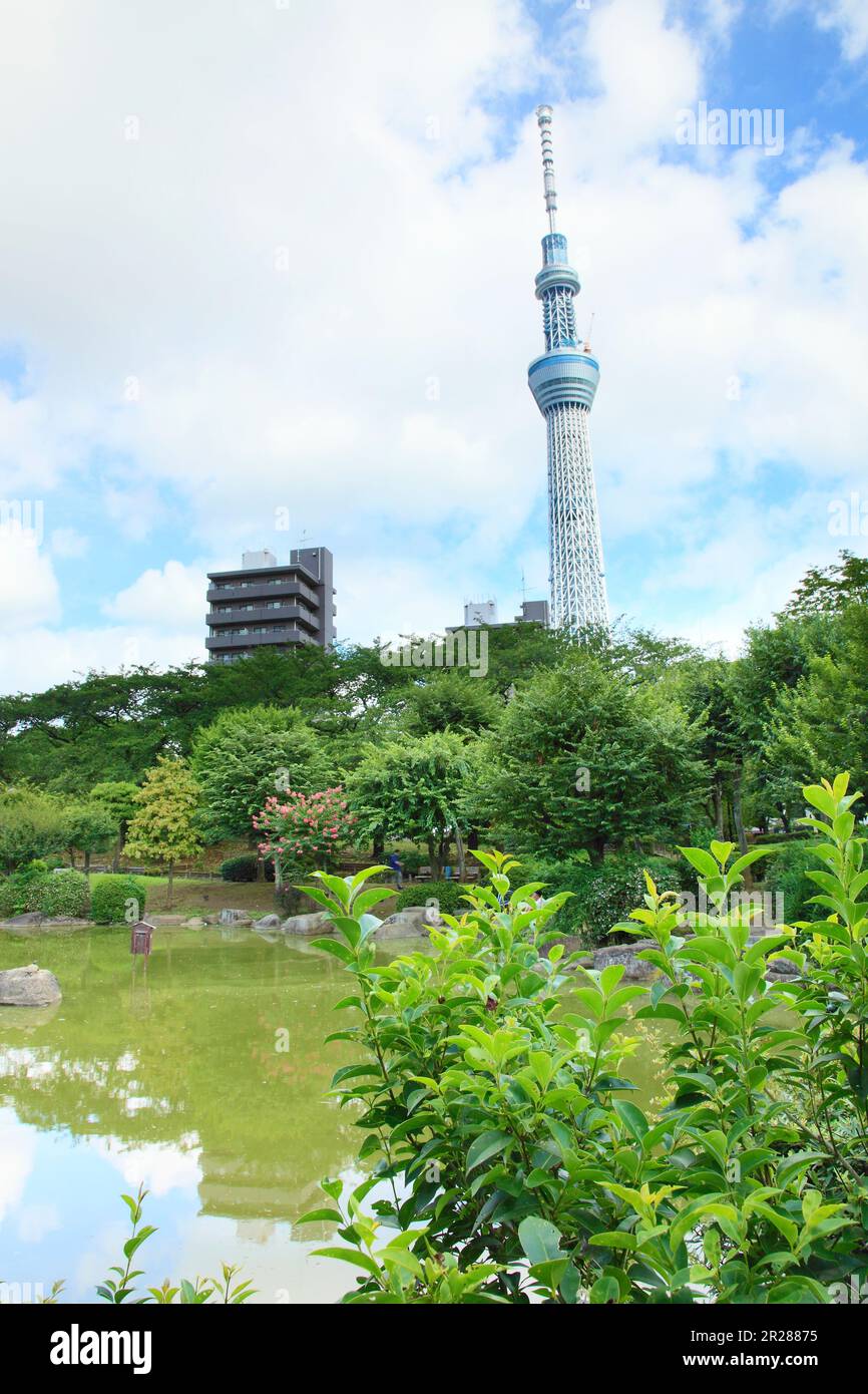 Tokyo Sky Tree and Sumida Park Stock Photo - Alamy