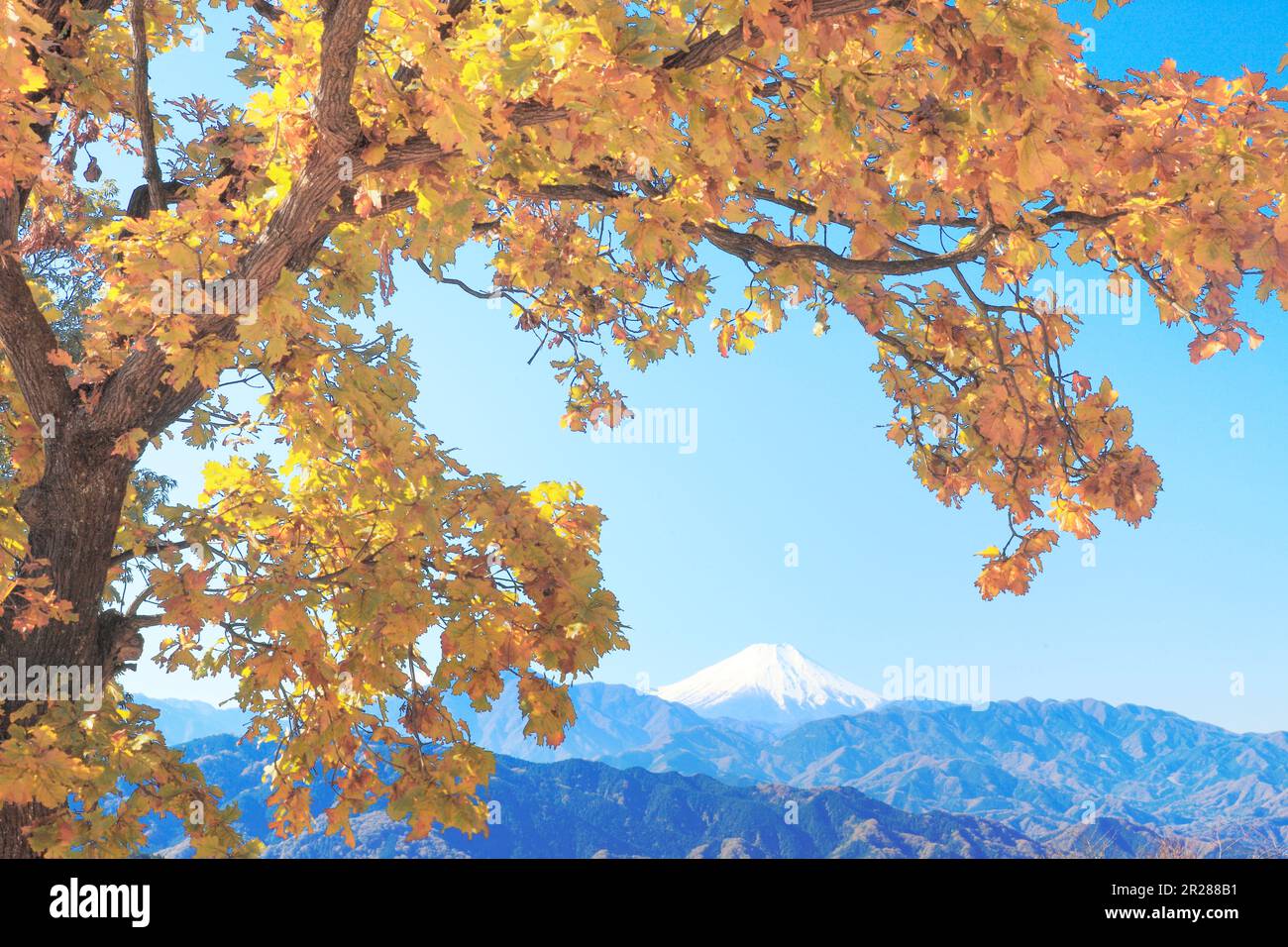 Autumn foliage of Mt. Takao summit and Mt. Fuji Stock Photo - Alamy