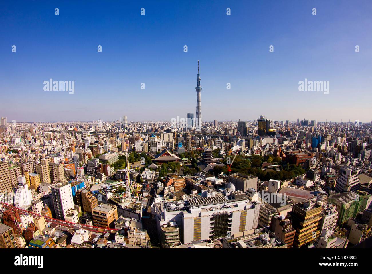 Sensoji temple and Tokyo sky tree Stock Photo - Alamy