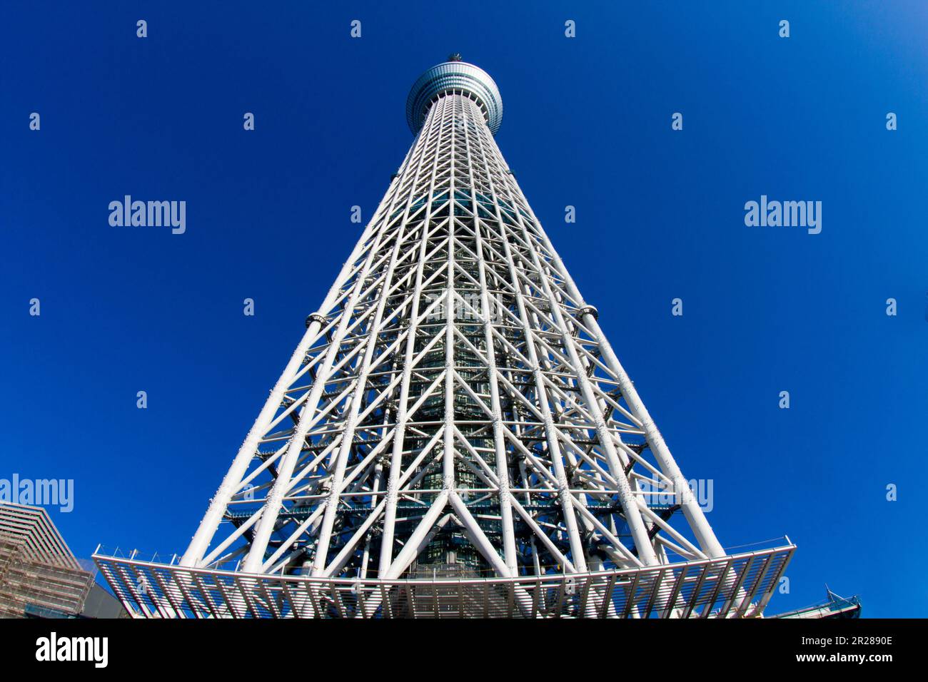 Tokyo sky tree reaching up the sky from the bottom Stock Photo - Alamy