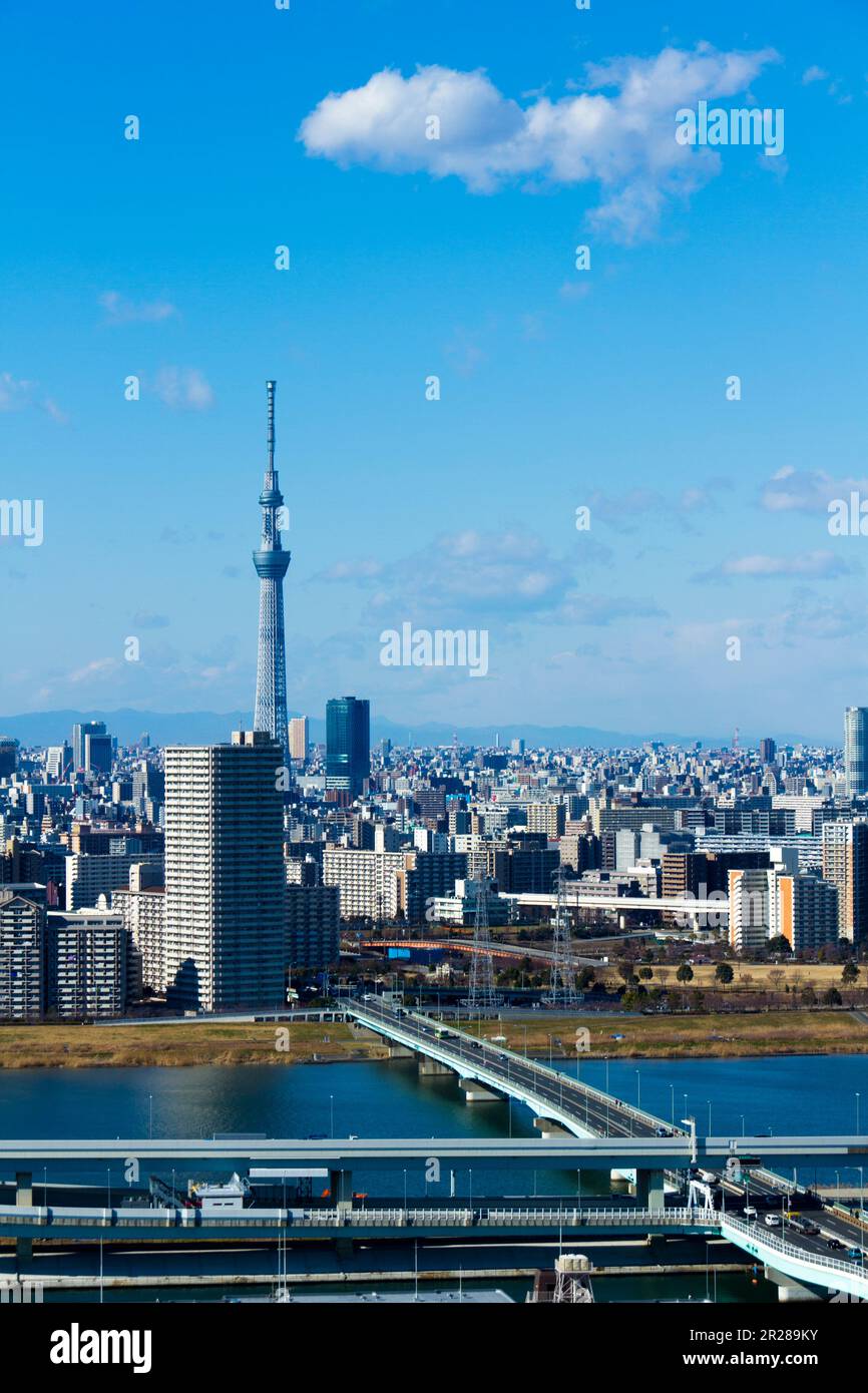 Tokyo Sky Tree and Shinjuku buildings group vertical angle Stock Photo ...