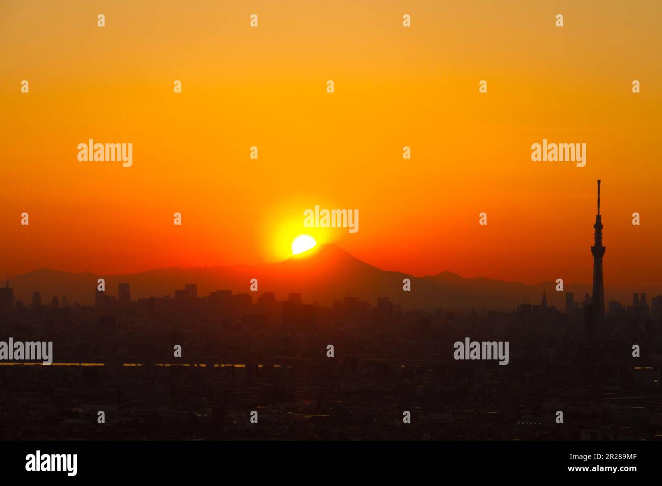 Fuji and tokyo skytree at sunset hi-res stock photography and images ...