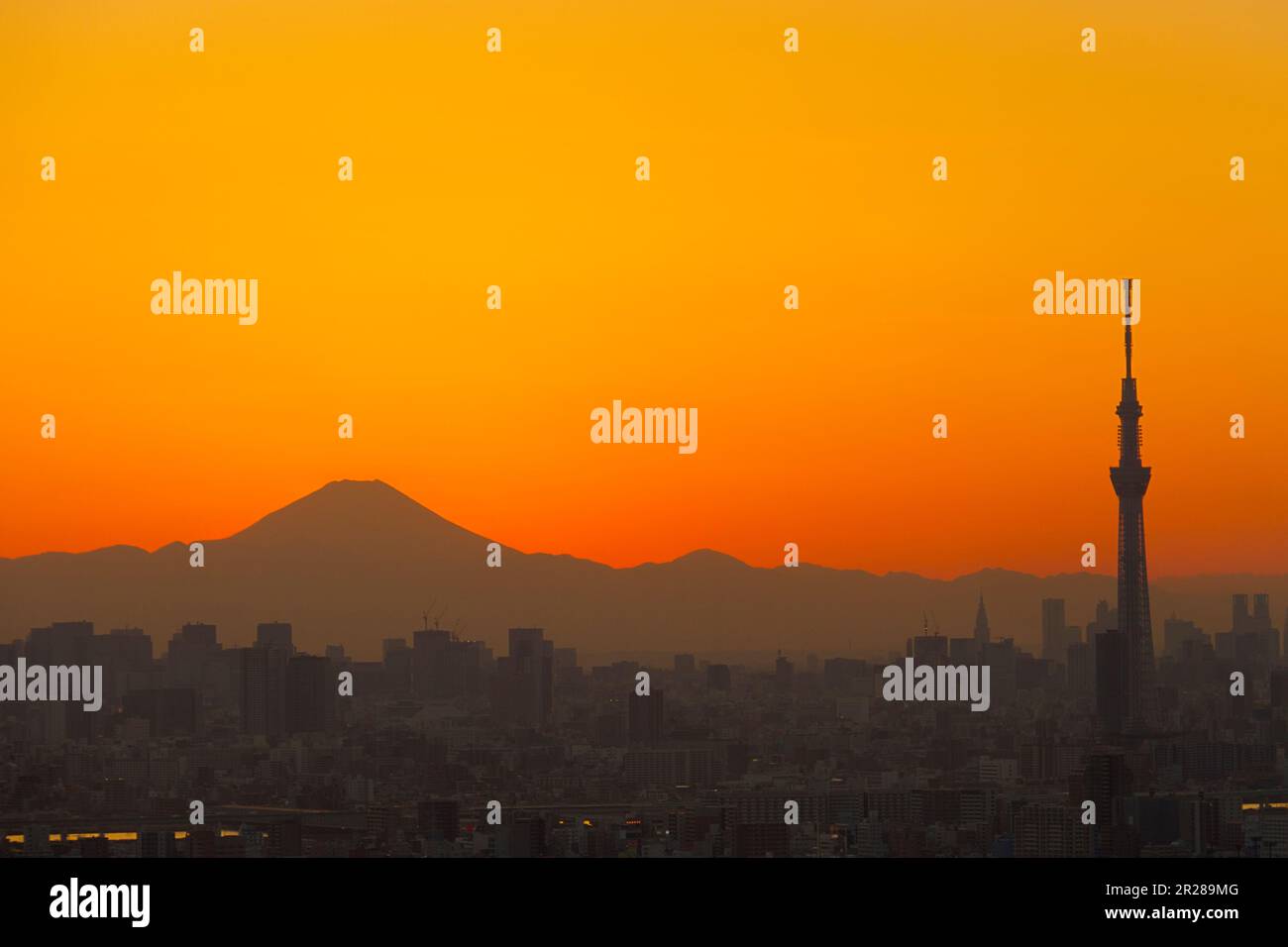 Tokyo sky tree and Mount Fuji just after sunset Stock Photo - Alamy