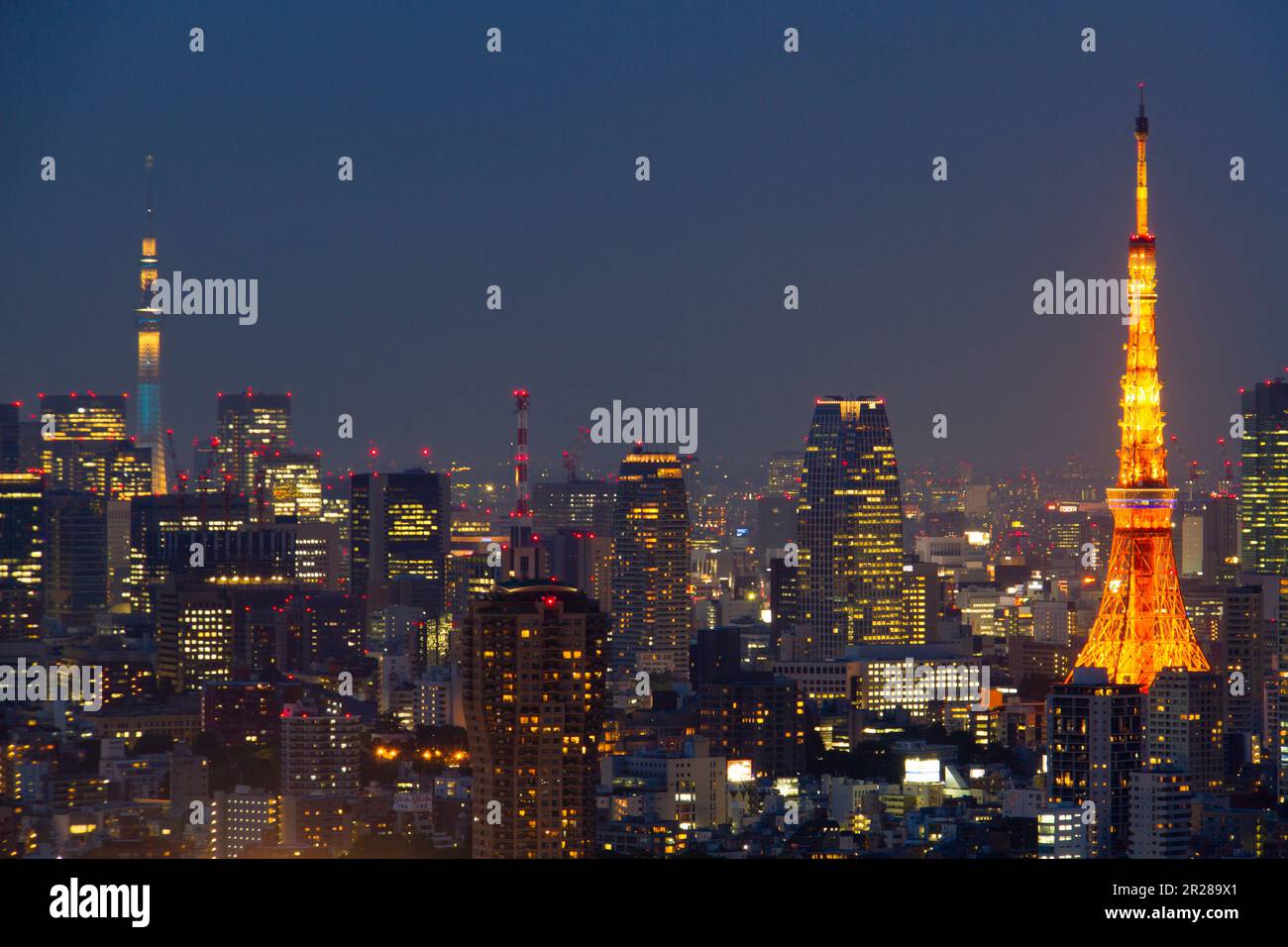 Tokyo Sky Tree (Trendy) and Tokyo Tower at night up-close Stock Photo ...