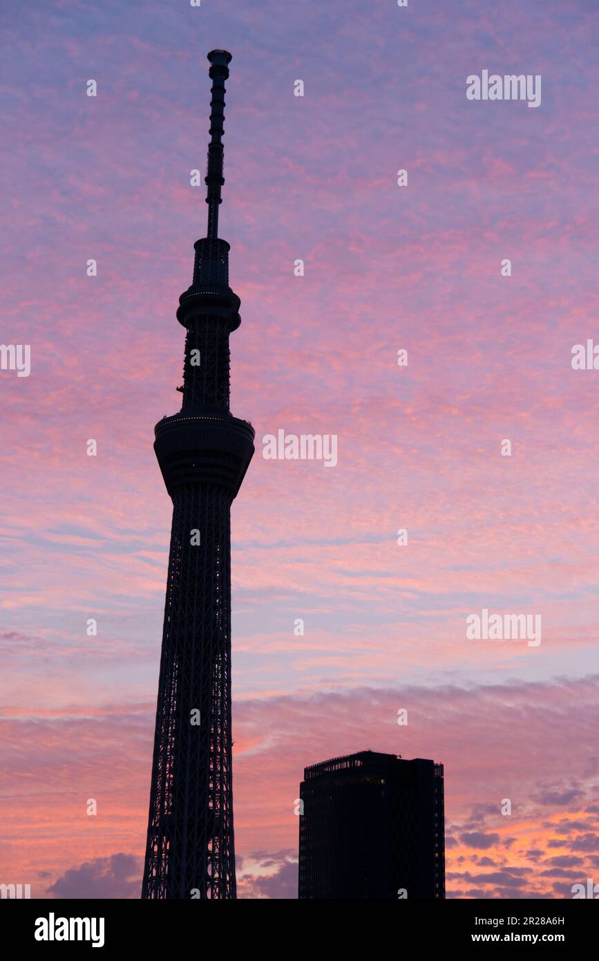 Silhouette of Tokyo Sky Tree Stock Photo - Alamy