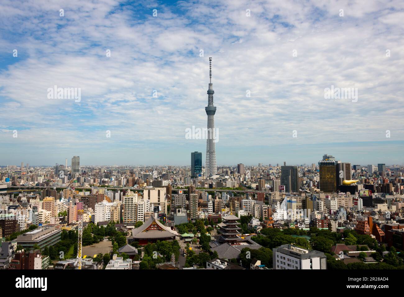 Tokyo Sky Tree and townscape of Asakusa Stock Photo - Alamy