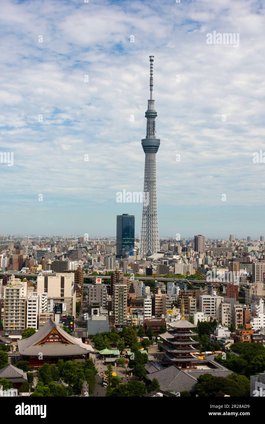 Tokyo Sky Tree and townscape of Asakusa , vertical position Stock Photo ...