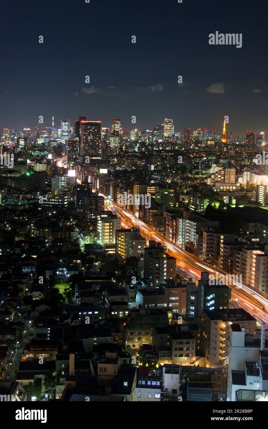 Night view of the vertical position of Tokyo Sky Tree and Tokyo Tower ...