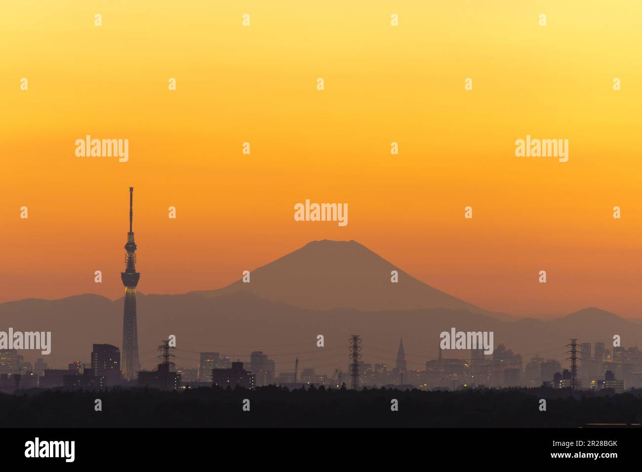 Fuji and tokyo skytree at sunset hi-res stock photography and images ...