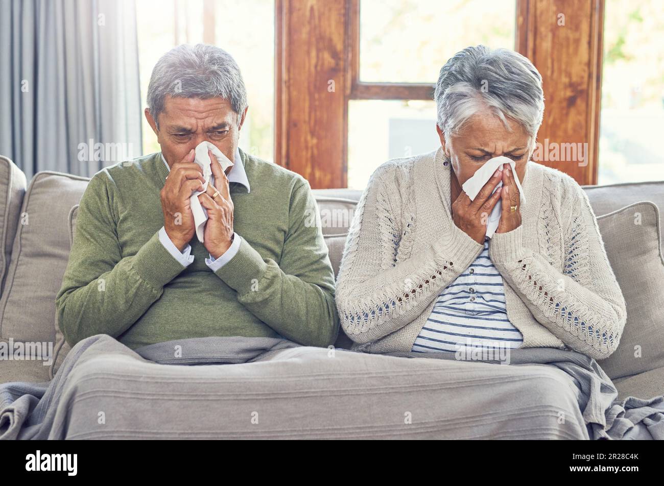 Senior couple, sick and blowing nose in home from virus, allergy and ...