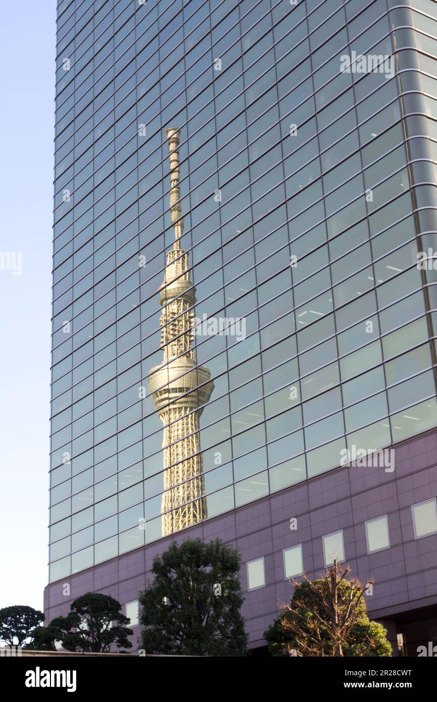 Sky Tree in the window glass Stock Photo - Alamy