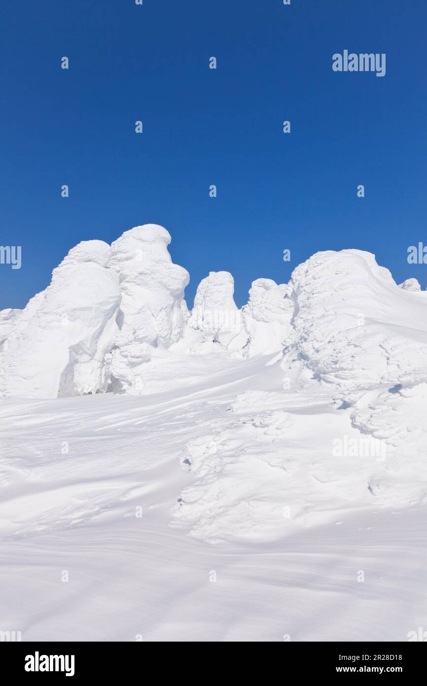 Trees on Mount Zao covered in frost Stock Photo - Alamy