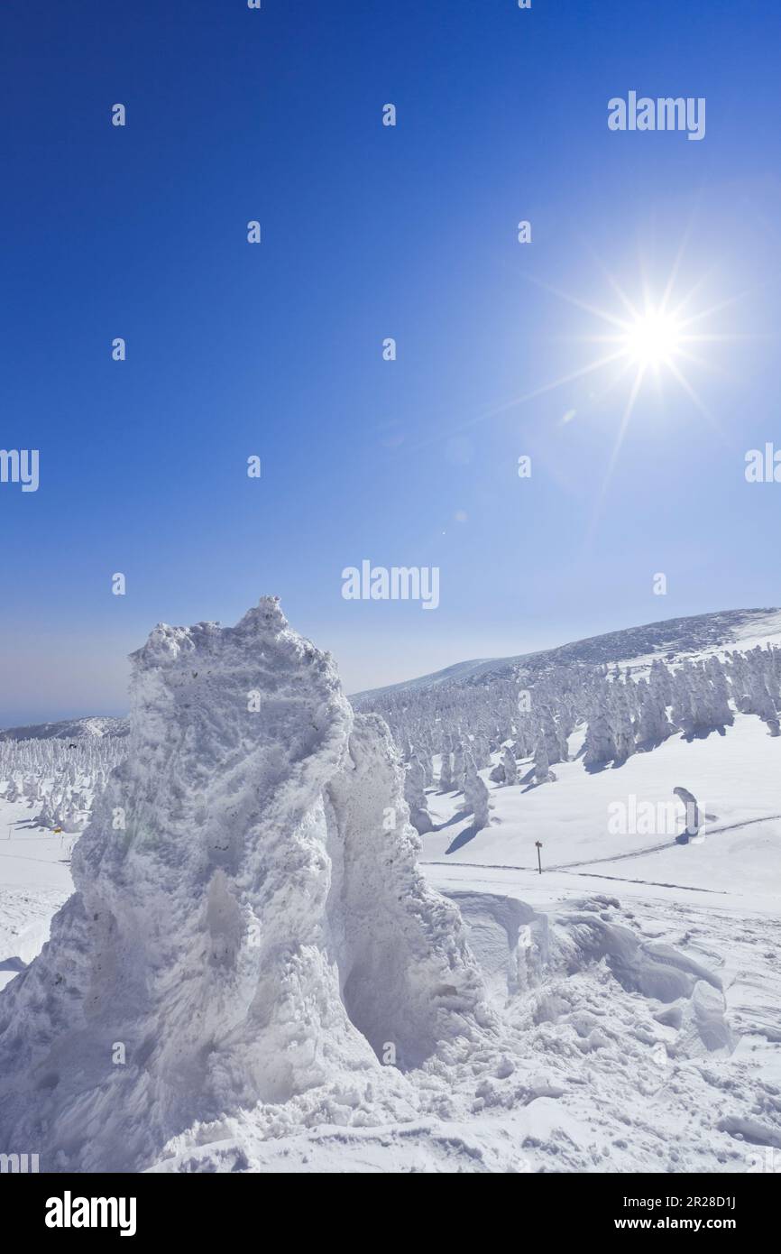 Trees on Mount Zao covered in frost Stock Photo - Alamy
