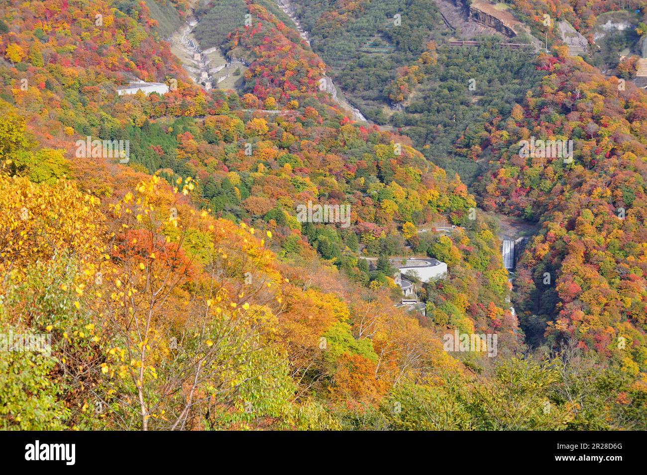 Iroha slope no.1 and fall foliage (Route 120 Stock Photo - Alamy