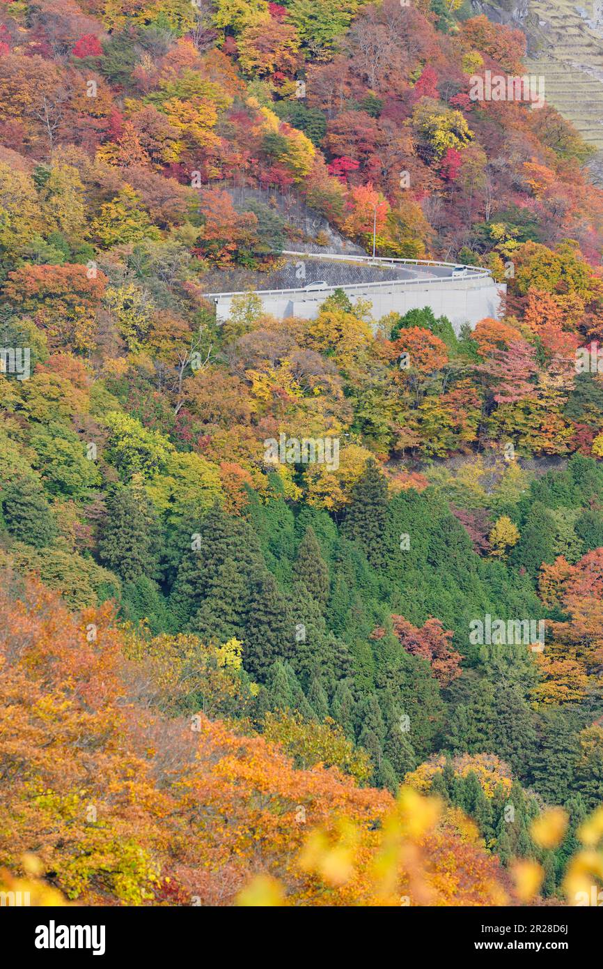 Iroha slope no.1 and fall foliage (Route 120 Stock Photo - Alamy