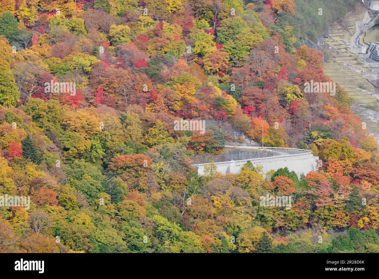Iroha slope no.1 and fall foliage (Route 120 Stock Photo - Alamy