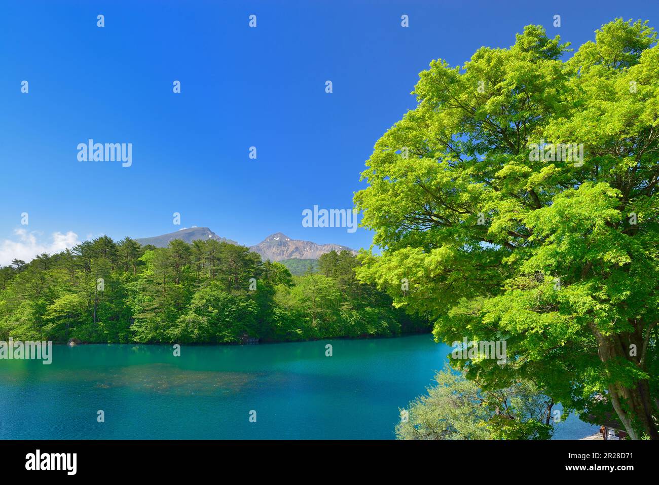 Goshiki numa kitashiobara, japan hi-res stock photography and images ...