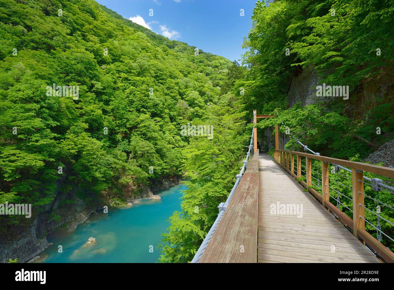 Seigan hi-res stock photography and images - Alamy