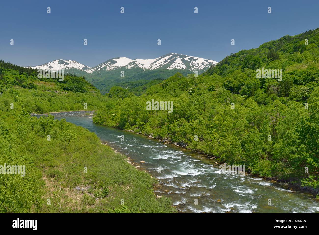 Sagae River with fresh green and Gassan with snow Stock Photo - Alamy