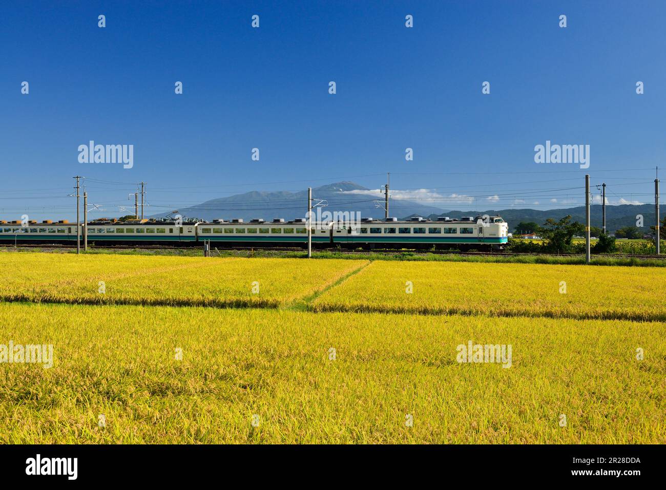Limited express train Inaho running along JR Uetsu main line, Mount ...