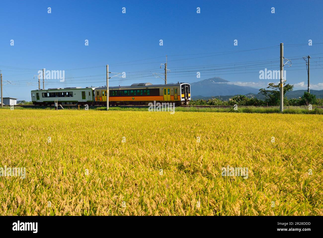 JR Uetsu main line, Mount Chokaisan and rice plants Stock Photo - Alamy