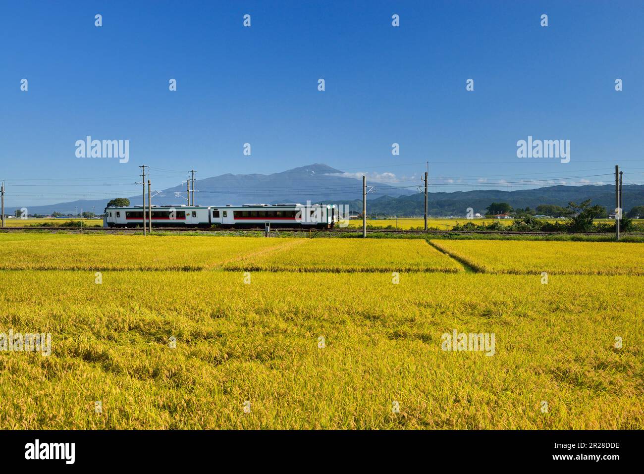 JR Uetsu main line, Mount Chokaisan and rice plants Stock Photo - Alamy