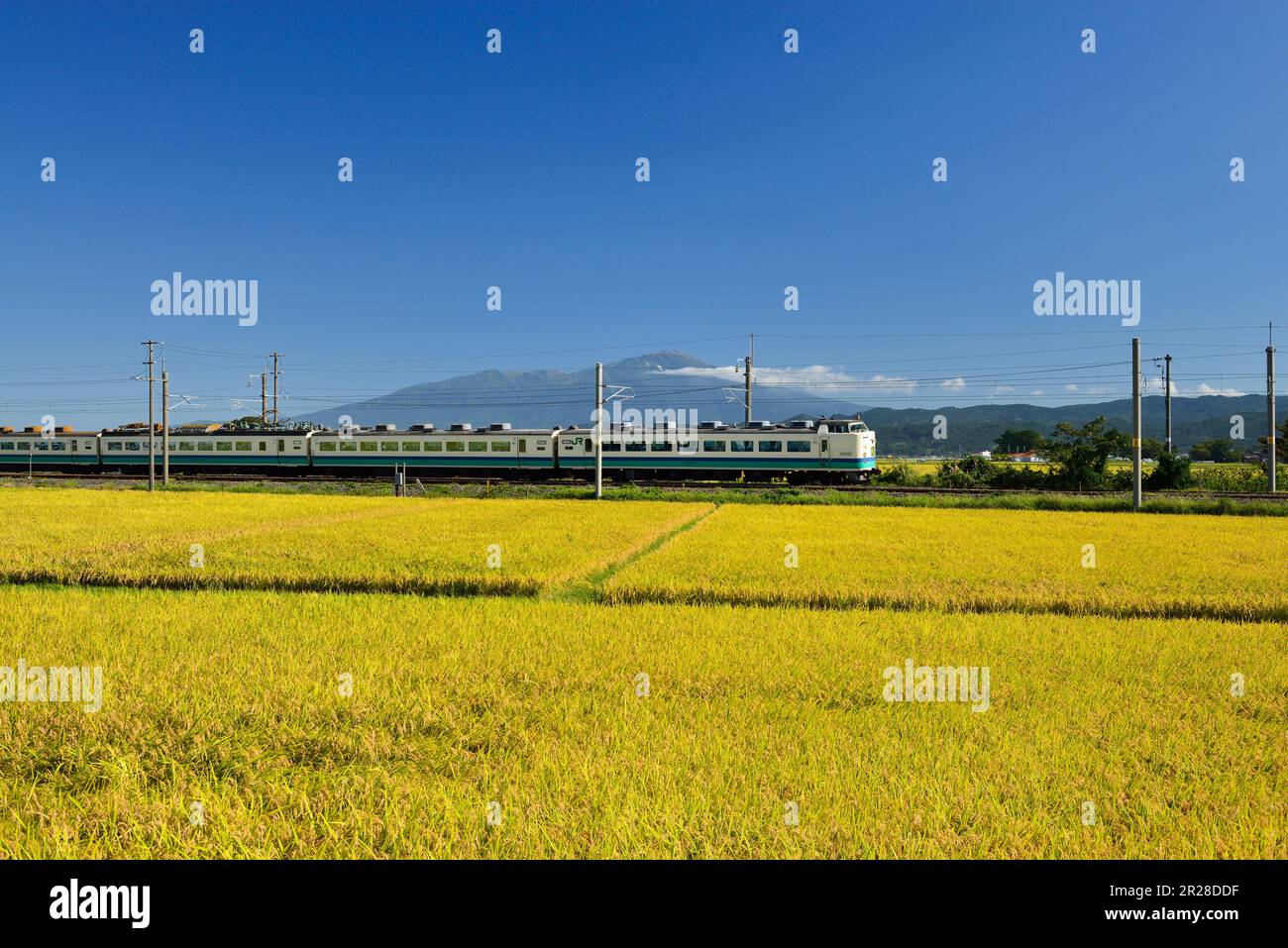 Limited express train Inaho running along JR Uetsu main line, Mount ...