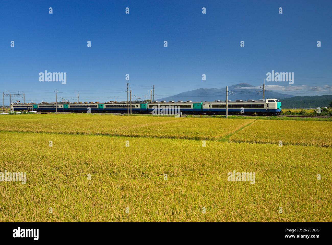 Limited express train Inaho running along JR Uetsu main line, Mount ...