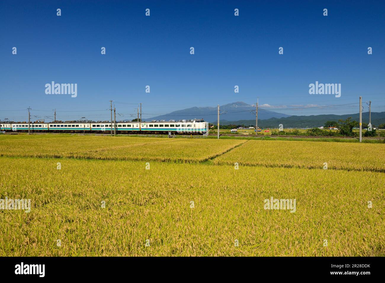 Limited express train Inaho running along JR Uetsu main line, Mount ...
