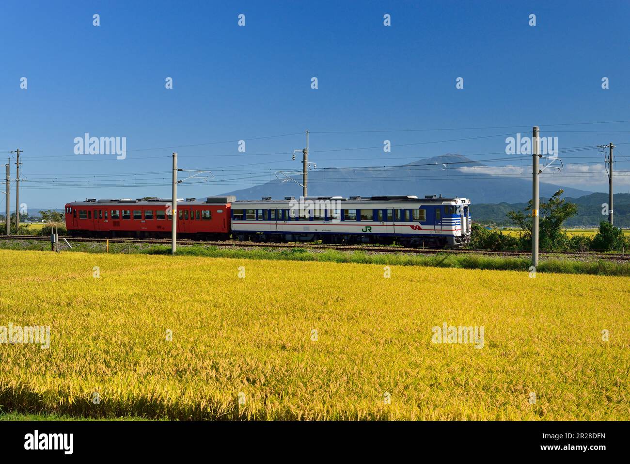 JR Uetsu main line, Mount Chokaisan and rice plants Stock Photo - Alamy