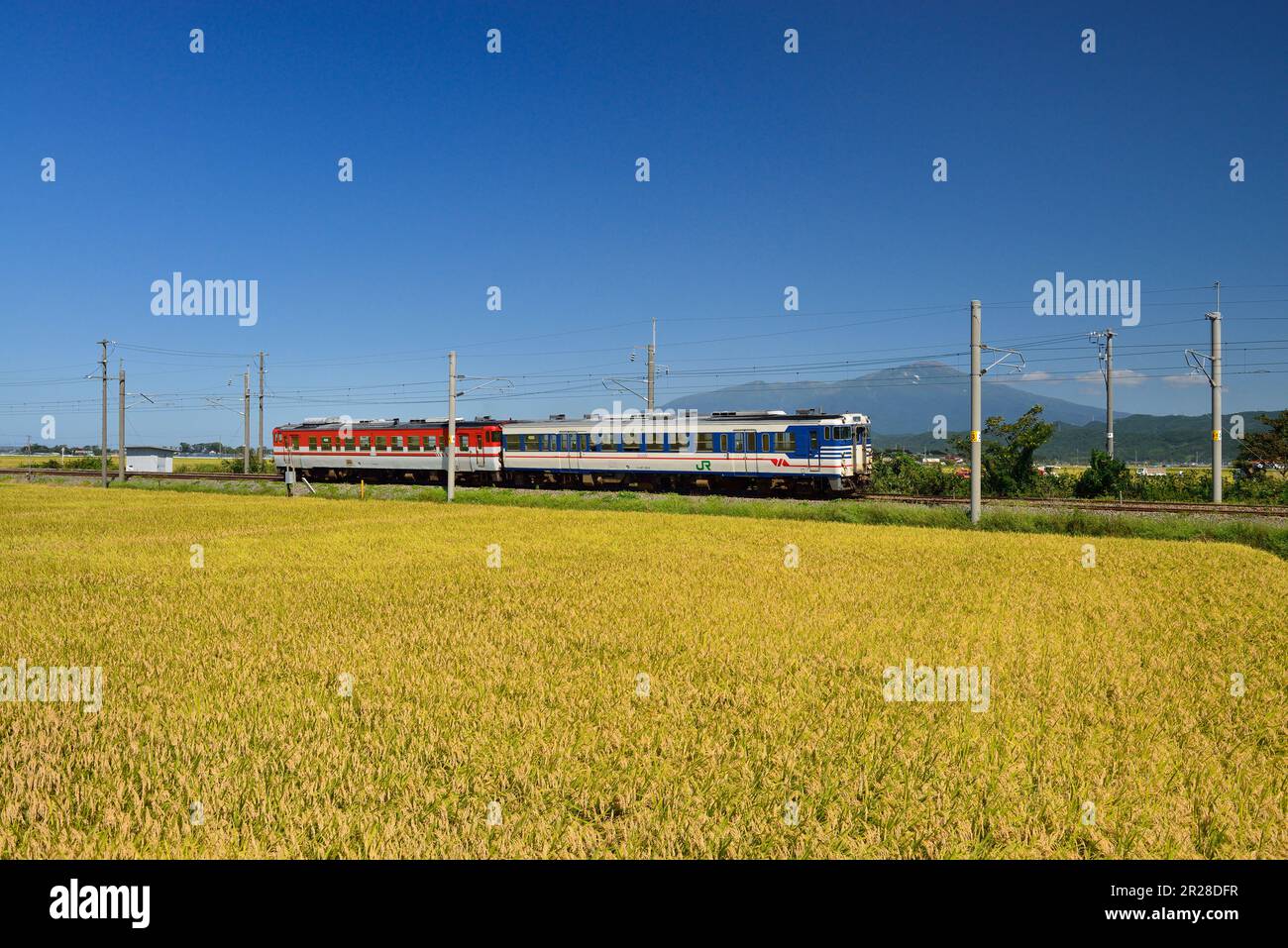 JR Uetsu main line, Mount Chokaisan and rice plants Stock Photo - Alamy