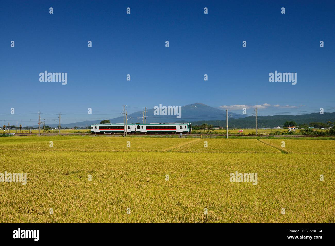 JR Uetsu main line, Mount Chokaisan and rice plants Stock Photo - Alamy