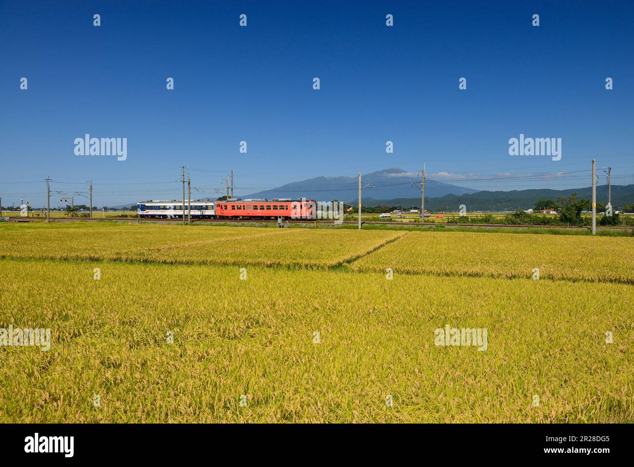 JR Uetsu main line, Mount Chokaisan and rice plants Stock Photo - Alamy