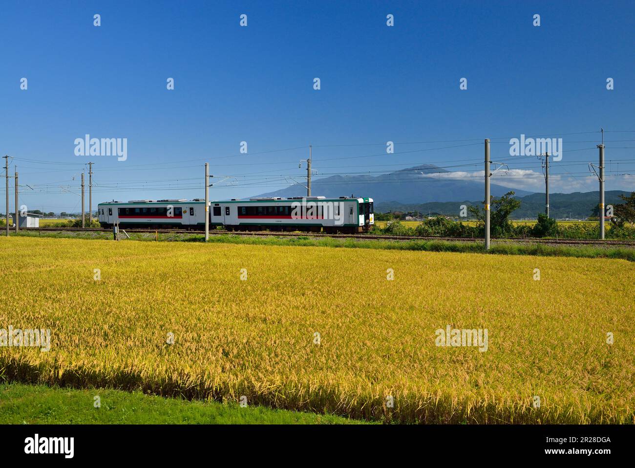 JR Uetsu main line, Mount Chokaisan and rice plants Stock Photo - Alamy