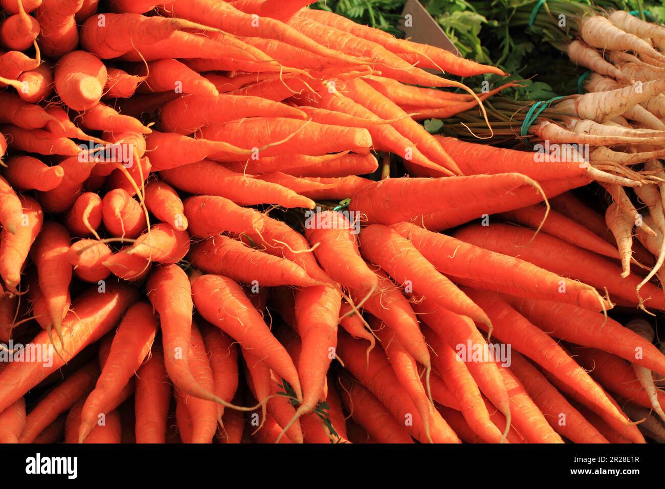 red carrots texture as nice vegetable background Stock Photo - Alamy