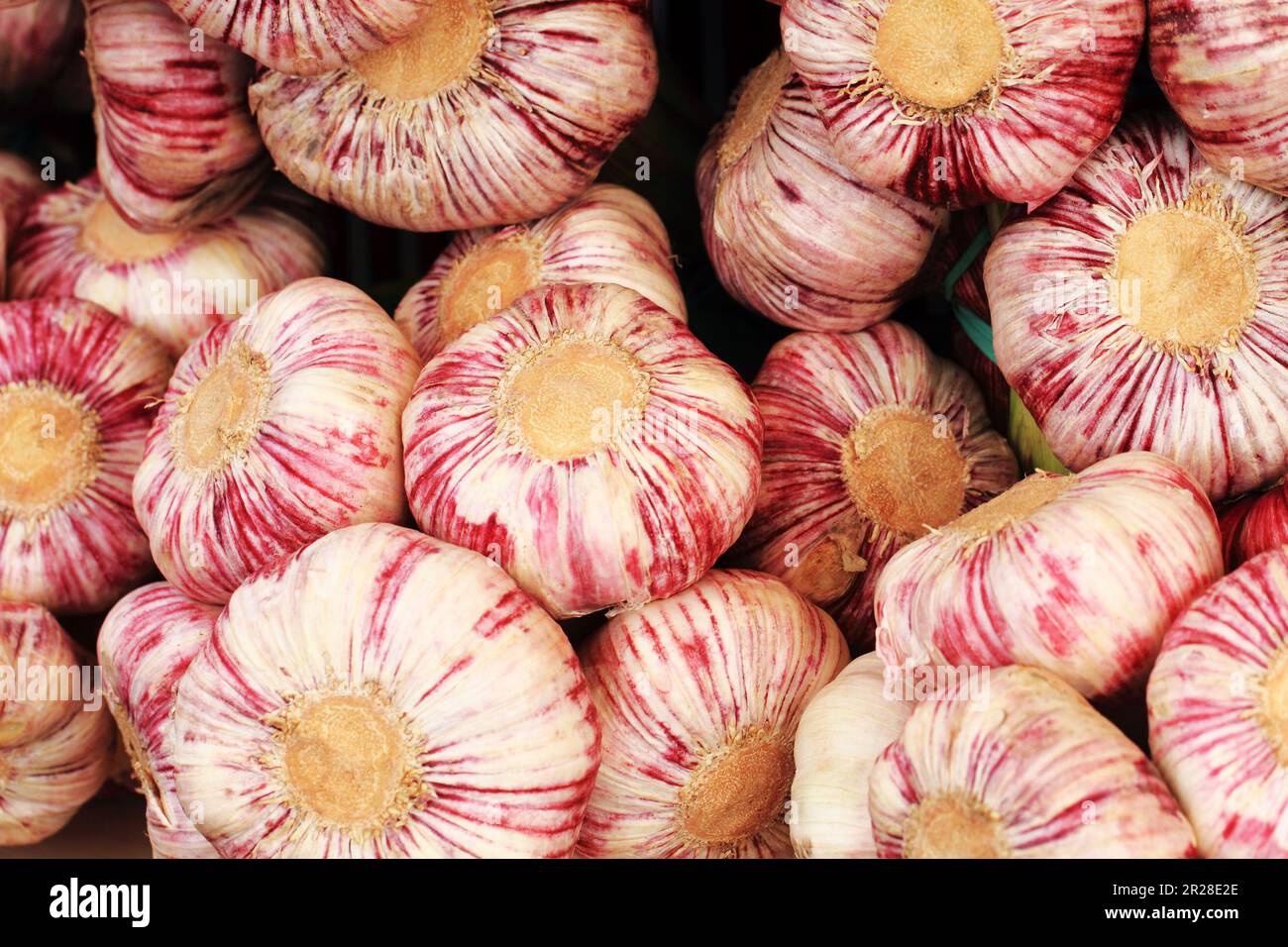 fresh garlic texture as nice vegetable background Stock Photo - Alamy