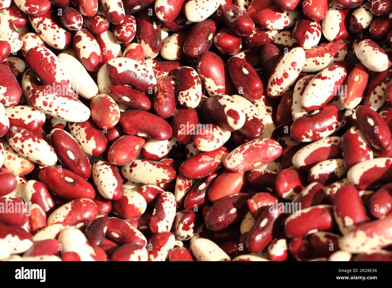 violet beans texture as very nice food background Stock Photo - Alamy