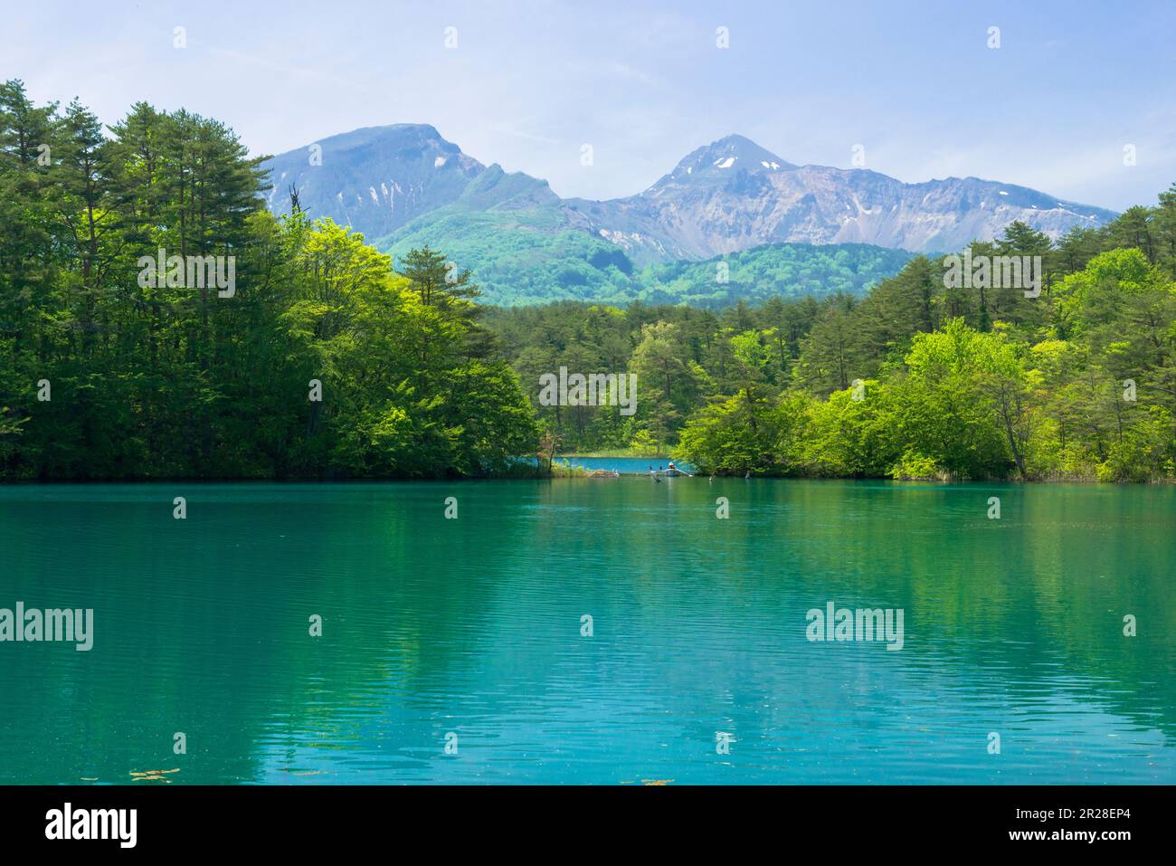 Goshikinuma swamp at Urabandai plateau Stock Photo - Alamy