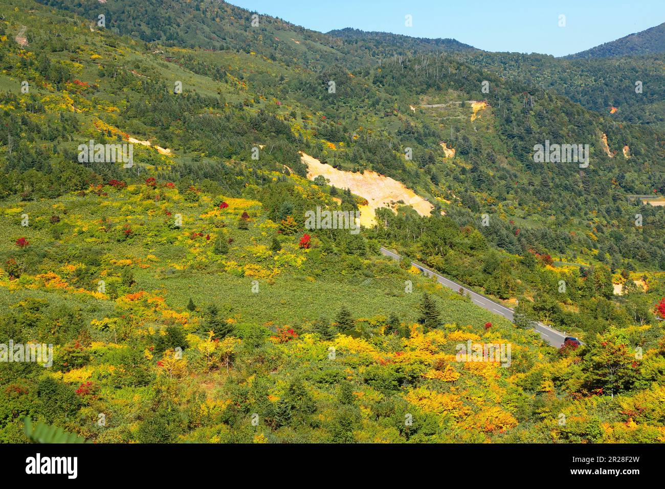 Autumn leaves seen from Hachimantai Aspite Line Stock Photo - Alamy