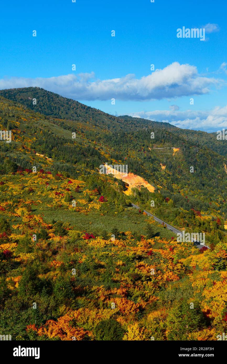 Autumn leaves viewed from Hachimantai Aspite Line Stock Photo - Alamy